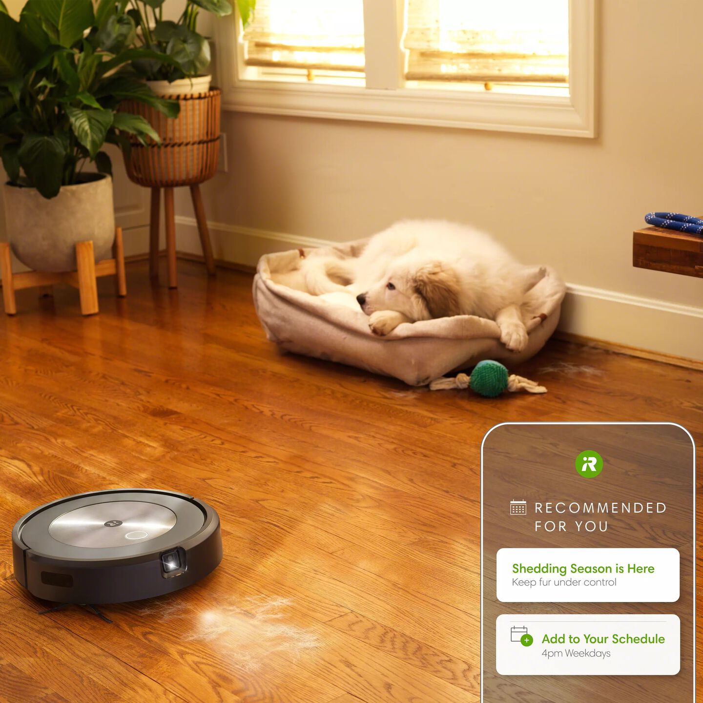 iRobot Roomba® j6+ Robot Vacuum
